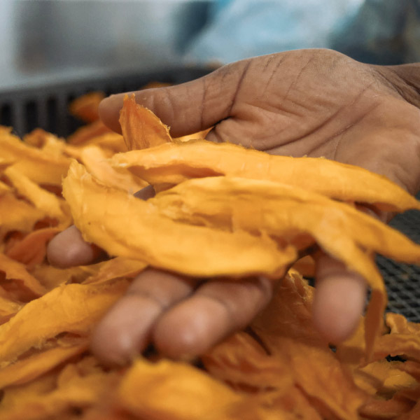 Shop | Matumi Orchards